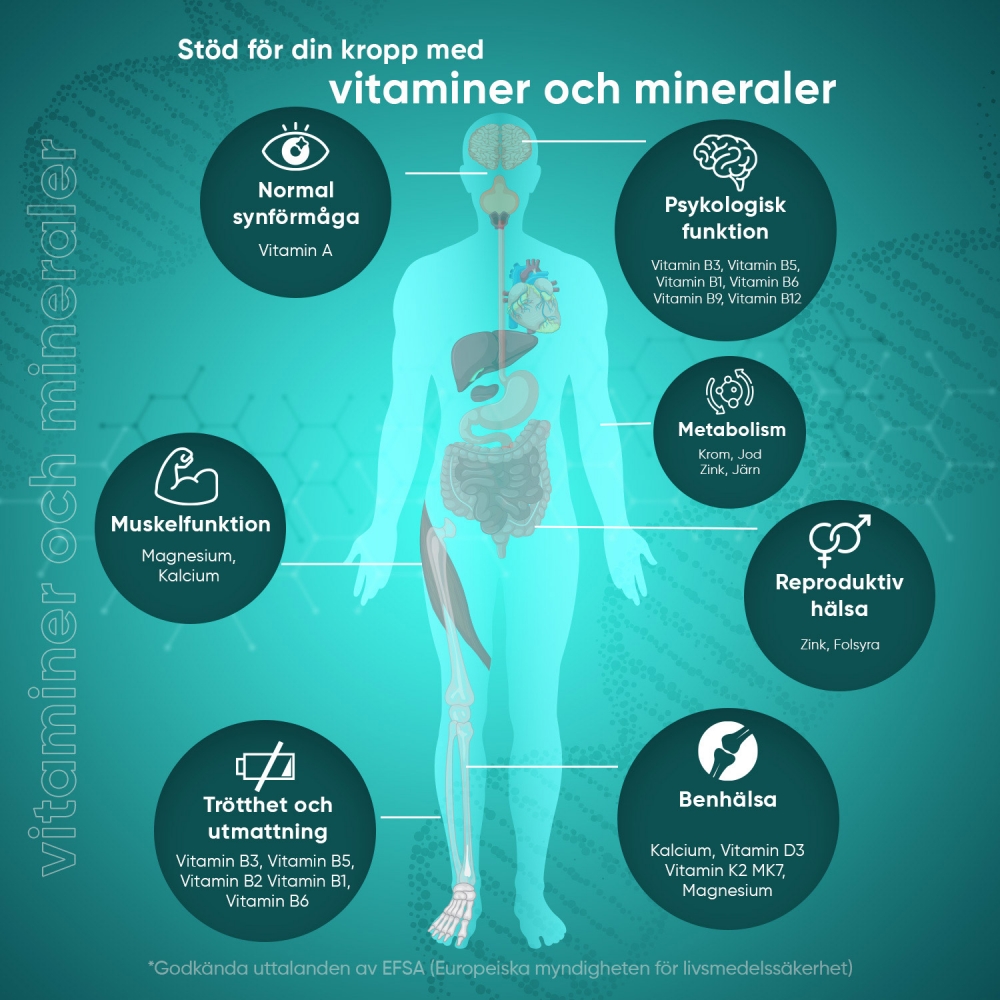 Köp Multivitamin och Mineraler, 365 Tabletter | Multivitaminer för vuxna